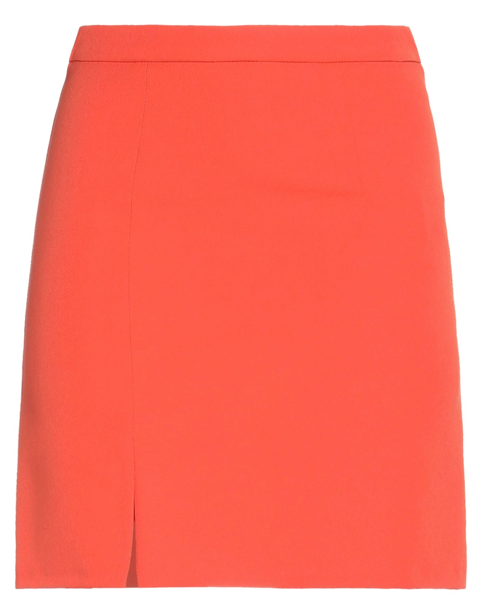 ACTUALEE Mini skirts | Smart Closet